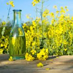 Koolzaadolie – cosmetische eigenschappen